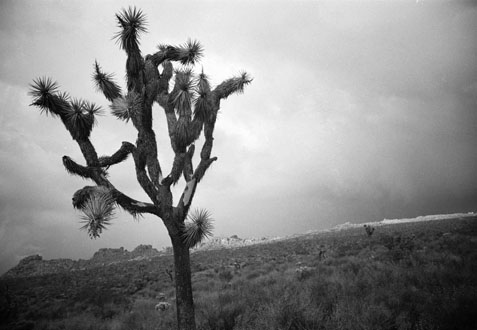 Dustin Ross Photography